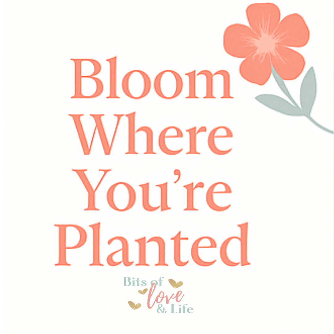 5 Ways to Bloom Where You’re Planted